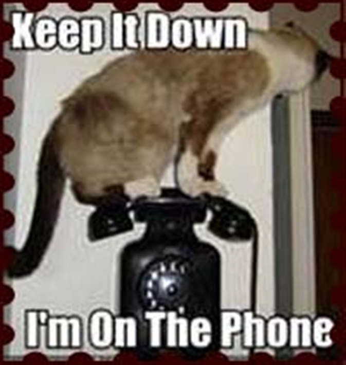 Operator Operator Operator Memes